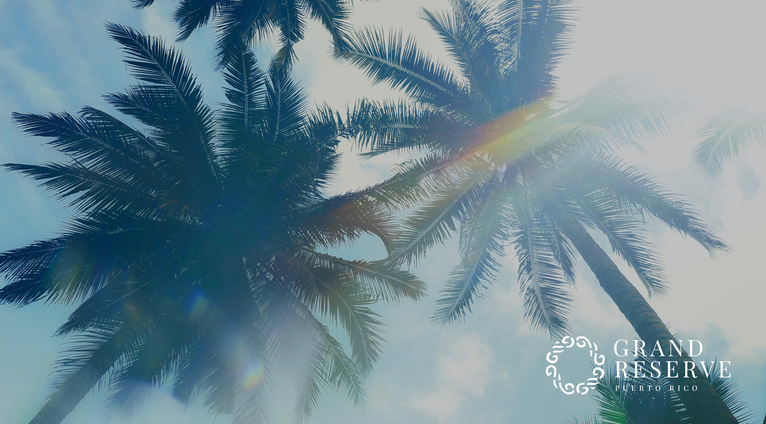 Destination - Grand Reserve Puerto Rico